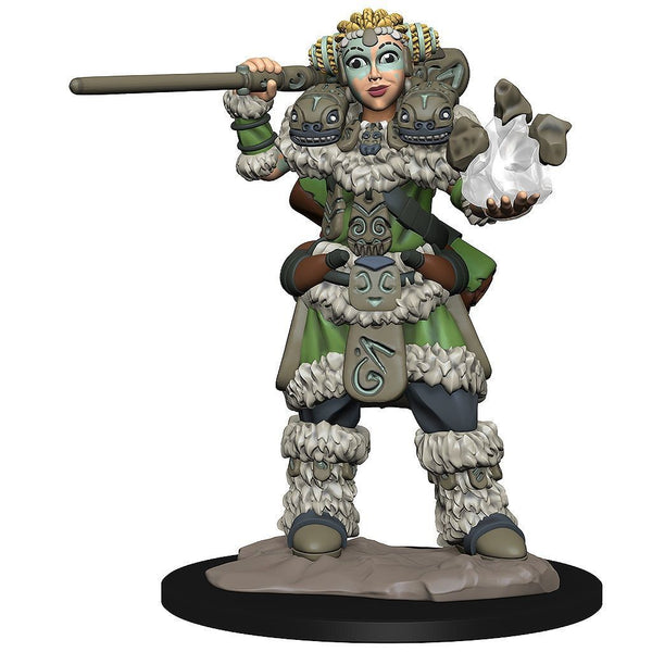 WizKids Wardlings RPG Figures Girl Druid & Stone Creature – Pop Stop
